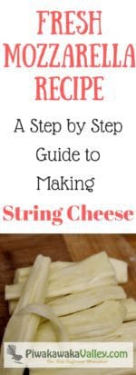 Easy Fresh Mozzarella Recipe: How to make mozzarella at home