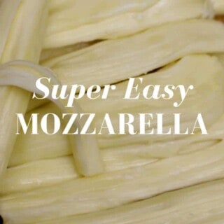 Easy Fresh Mozzarella Recipe: How to make mozzarella at home