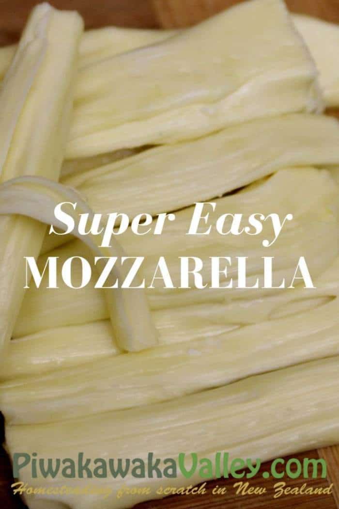 Easy Fresh Mozzarella Recipe: How to make mozzarella at home