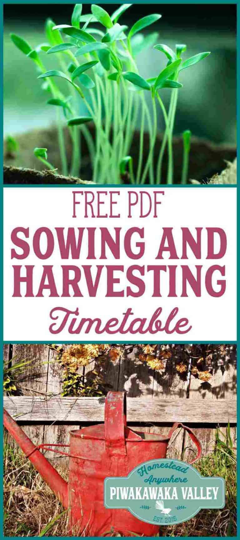 Seed Sowing Timetable - Gardening Planting Schedule zones 8, 9 and 10