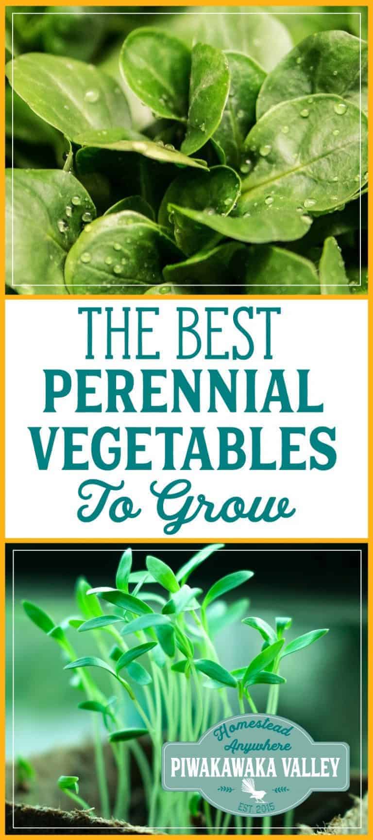 100 Perennial Vegetables For your Garden | Permaculture Plants Food Forest
