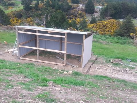 rabbit-house - Fantail Valley Homestead