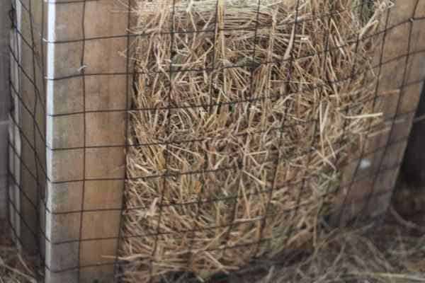 How to Make a J Feeder and Hay Rack for your Rabbits or Chickens