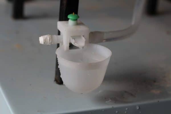 DIY Rabbit Watering System: How to Build an Automatic Water System for ...