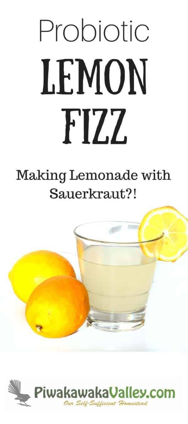 Probiotic Lemonade | How to make fizzy Lemonade at home