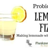 Probiotic Lemonade | How to make fizzy Lemonade at home