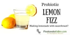 Probiotic Lemonade | How to make fizzy Lemonade at home
