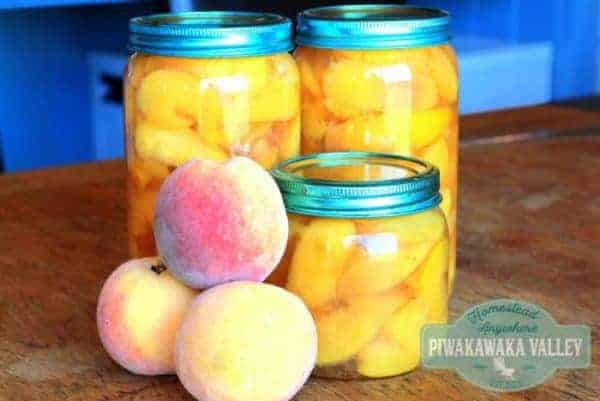 Easy Canning for Beginners - how to preserve fruit in jars