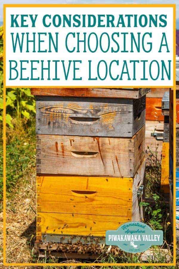7 Key Things to Consider when Choosing a Location for a Beehive