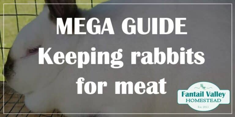 The Ultimate Resource Collection for Raising Meat Rabbits in a Colony