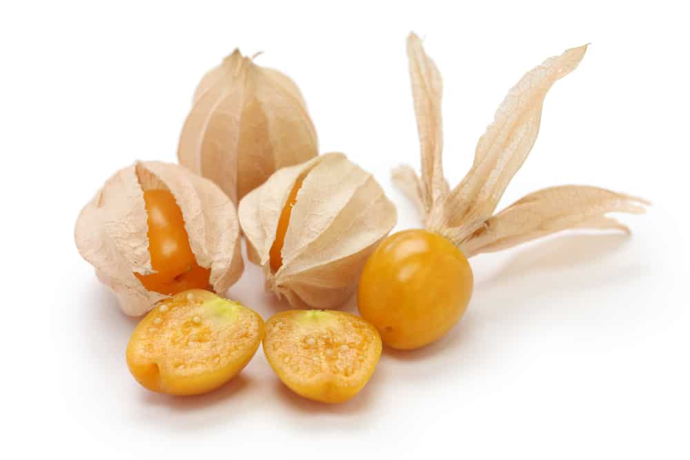 Cape Gooseberry Recipes Nz | Bryont Blog