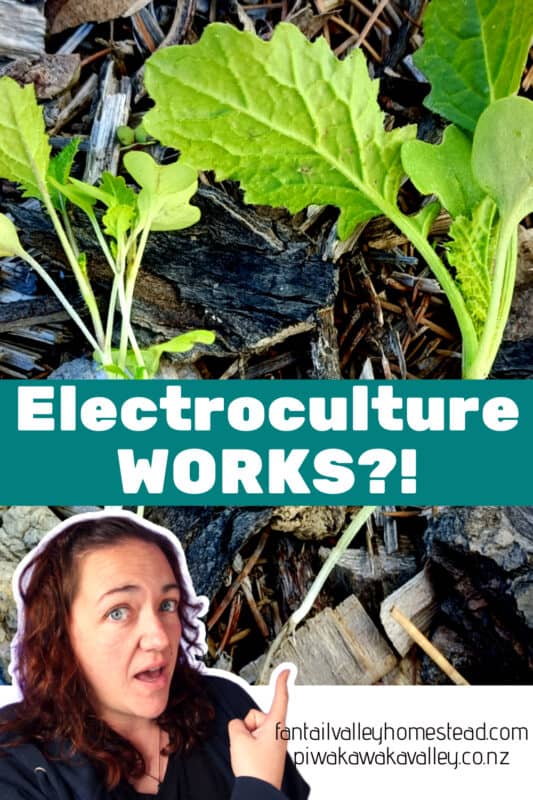 Using Electroculture in the Garden