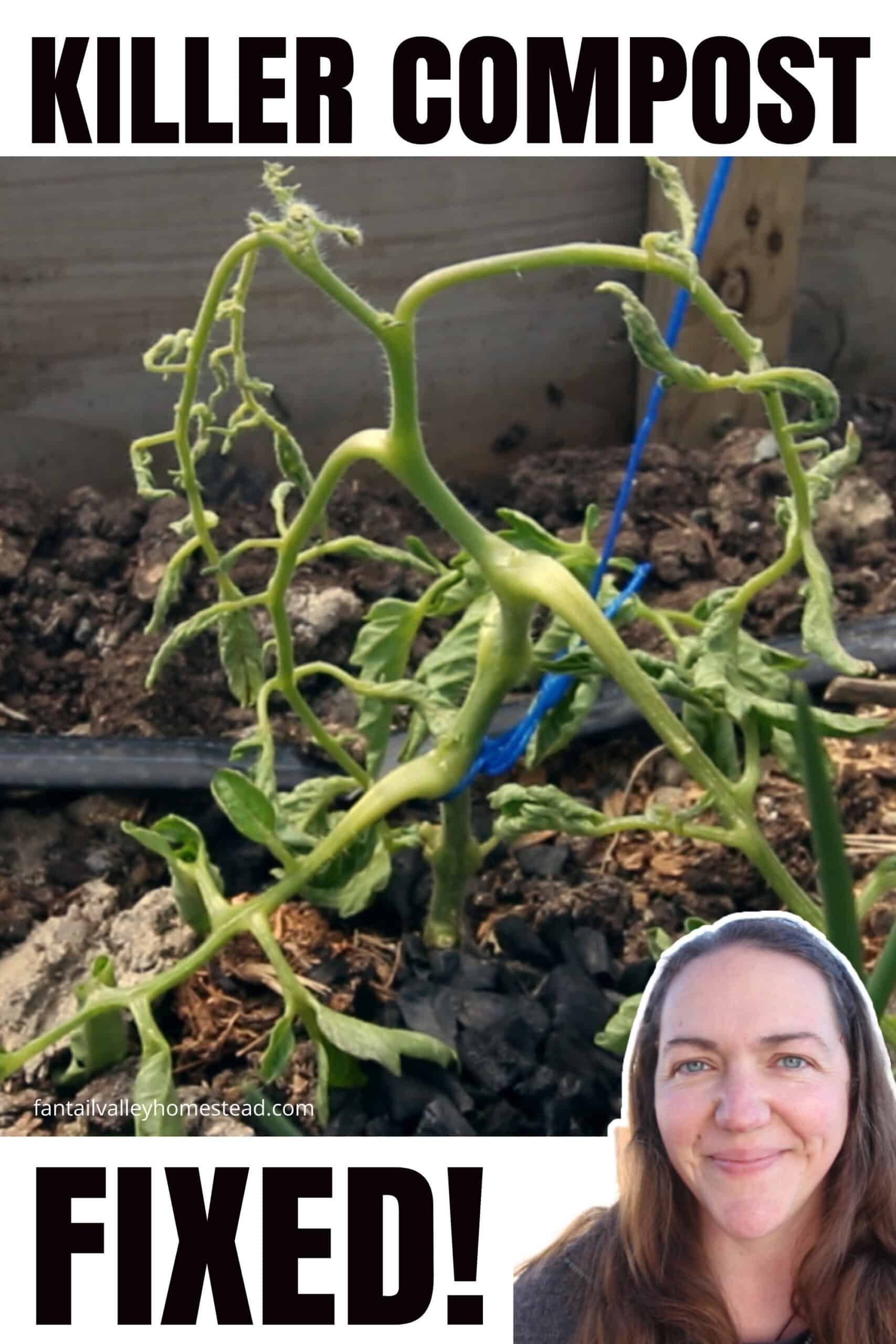 Fixing soil contaminated with persistent herbicide (killer compost cure)